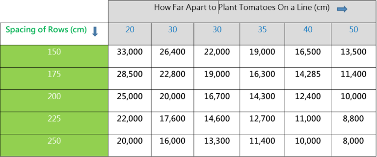 Tomato Plant Spacing Guide: Garden, Containers, Raised Bed or Open ...